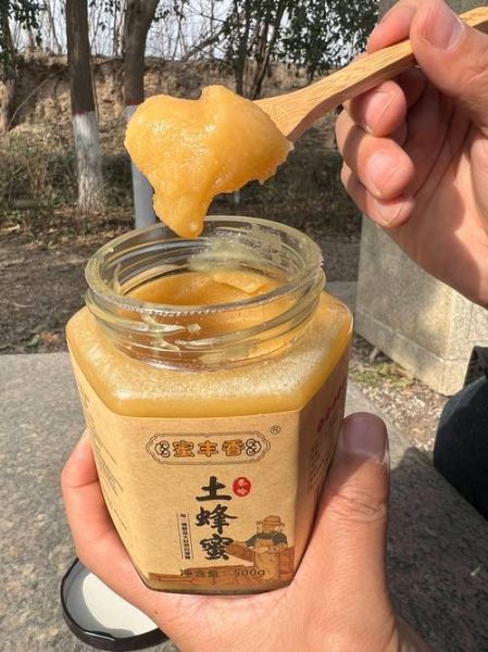 土蜂蜜的功效与作用_土蜂蜜怎么吃效果最好-第1张图片-山城妙识