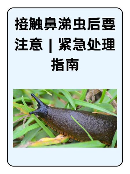 蛞蝓有毒吗_蛞蝓怎么消灭-第2张图片-山城妙识