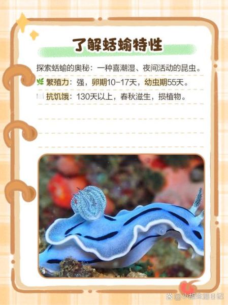 蛞蝓有毒吗_蛞蝓怎么消灭-第1张图片-山城妙识