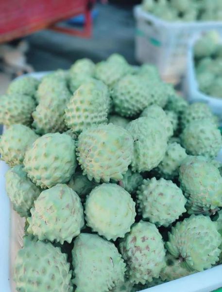 凤梨释迦果怎么吃_释迦果怎么吃图解-第2张图片-山城妙识