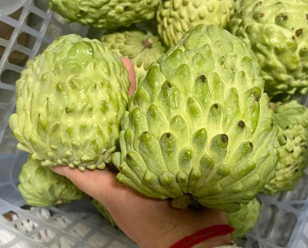 凤梨释迦果怎么吃_释迦果怎么吃图解-第3张图片-山城妙识