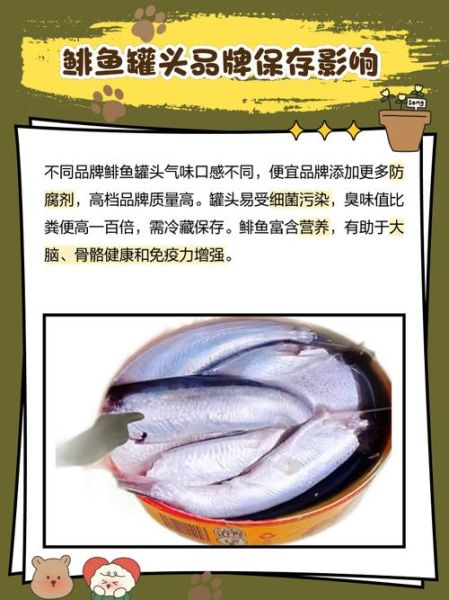 鲱鱼罐头为什么那么臭_如何去除鲱鱼罐头的臭味-第1张图片-山城妙识