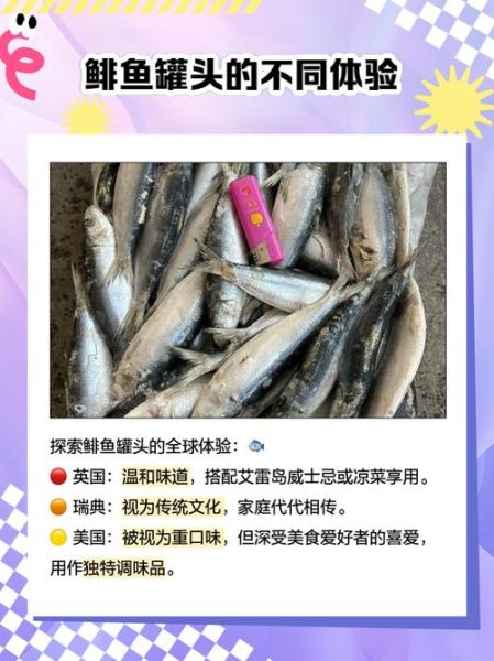 鲱鱼罐头为什么那么臭_如何去除鲱鱼罐头的臭味-第2张图片-山城妙识