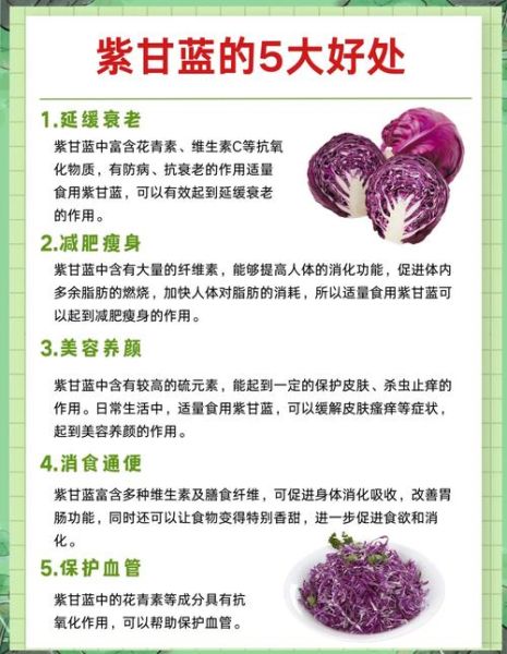 紫包菜的功效与作用_紫甘蓝生吃还是熟吃好-第3张图片-山城妙识