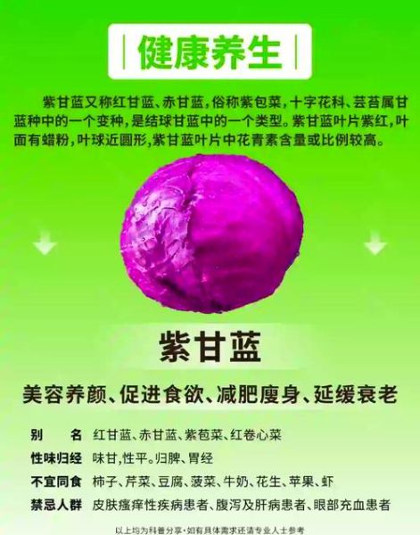 紫包菜的功效与作用_紫甘蓝生吃还是熟吃好-第1张图片-山城妙识