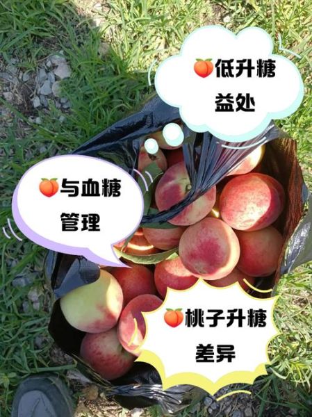 糖尿病人能吃桃子吗_桃子升糖指数高吗-第1张图片-山城妙识