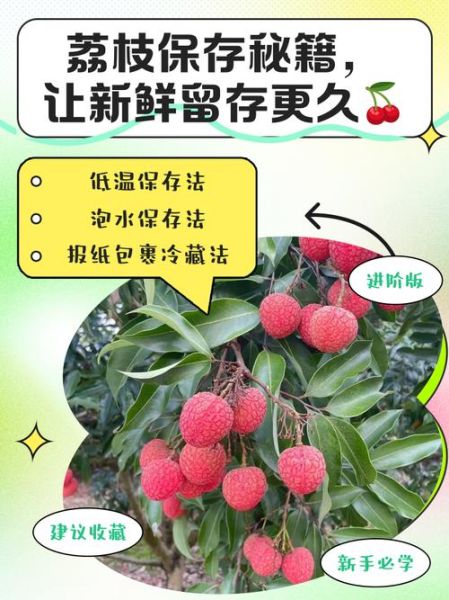 荔枝怎么保鲜时间长_荔枝保存方法有哪些-第1张图片-山城妙识