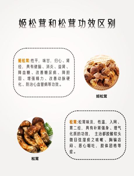 鲜姬松茸的功效与禁忌_什么人不能吃-第3张图片-山城妙识