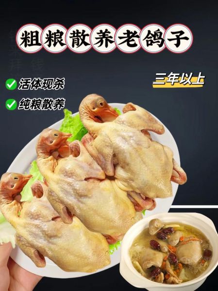 红烧鸽子怎么做好吃_红烧鸽子最正宗的做法-第1张图片-山城妙识 红烧鸽子怎么做好吃_红烧鸽子最正宗的做法-第1张图片-山城妙识