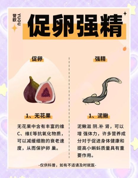 备孕吃什么容易受孕_备孕期间饮食禁忌有哪些-第2张图片-山城妙识