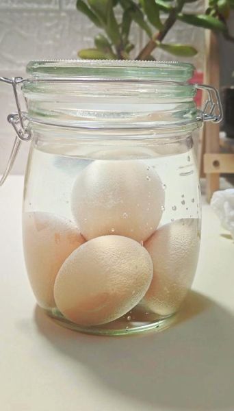 醋蛋液能去湿气吗_湿气重喝醋蛋液多久见效-第1张图片-山城妙识