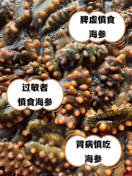 什么病不能吃海参_海参禁忌人群有哪些-第1张图片-山城妙识