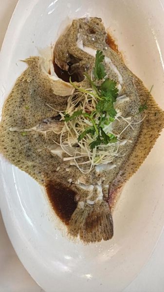 清蒸鱼一般用什么鱼_清蒸鲈鱼还是多宝鱼-第2张图片-山城妙识 清蒸鱼一般用什么鱼_清蒸鲈鱼还是多宝鱼-第2张图片-山城妙识