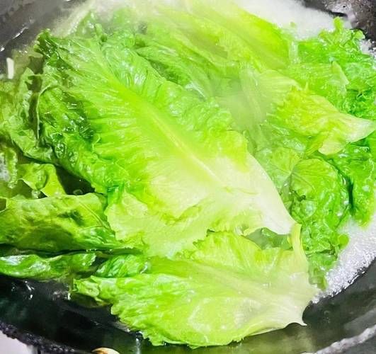 生菜什么时候种最合适_生菜种植方法全过程-第1张图片-山城妙识 生菜什么时候种最合适_生菜种植方法全过程-第1张图片-山城妙识