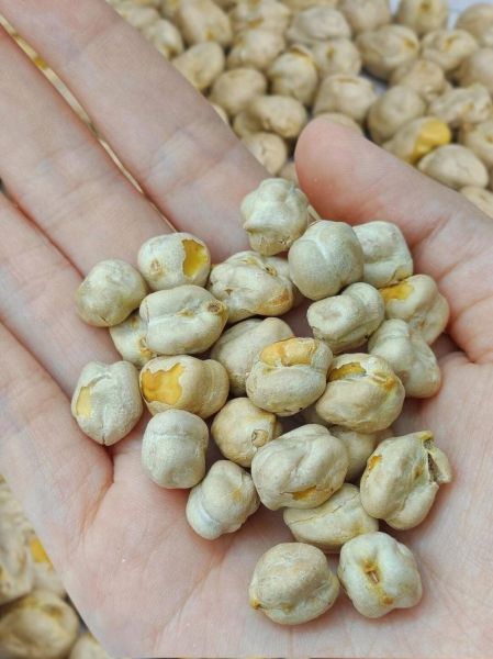 鹰嘴豆图片怎么拍_鹰嘴豆图片高清素材哪里找-第1张图片-山城妙识 鹰嘴豆图片怎么拍_鹰嘴豆图片高清素材哪里找-第1张图片-山城妙识