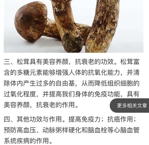 松茸汤怎么炖好喝_松茸汤的家常做法-第3张图片-山城妙识