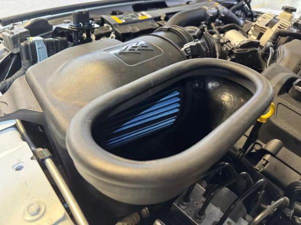 冬菇头有用吗_冬菇头改装效果怎么样-第2张图片-山城妙识 冬菇头有用吗_冬菇头改装效果怎么样-第2张图片-山城妙识