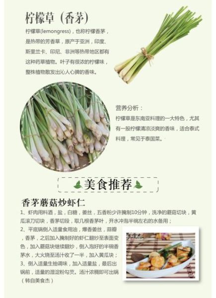 香茅草的功效与作用_香茅草的副作用和禁忌-第3张图片-山城妙识 香茅草的功效与作用_香茅草的副作用和禁忌-第3张图片-山城妙识