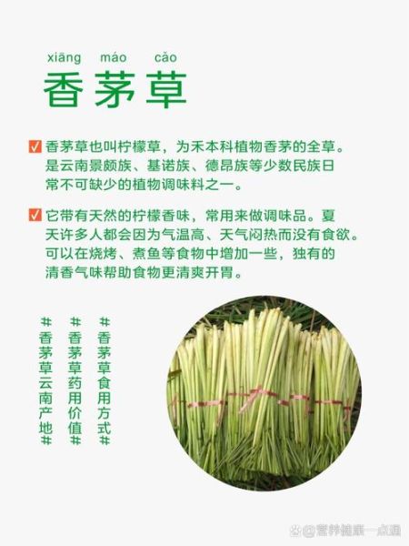 香茅草的功效与作用_香茅草的副作用和禁忌-第1张图片-山城妙识 香茅草的功效与作用_香茅草的副作用和禁忌-第1张图片-山城妙识