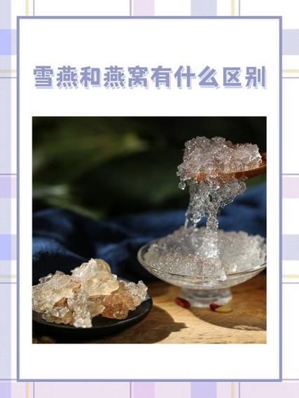 雪燕多少钱一斤_雪燕价格为什么差别这么大-第1张图片-山城妙识