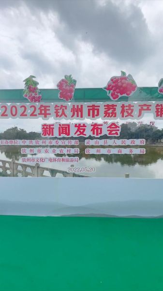 荔枝新闻怎么投稿_荔枝新闻投稿邮箱是多少-第3张图片-山城妙识 荔枝新闻怎么投稿_荔枝新闻投稿邮箱是多少-第3张图片-山城妙识