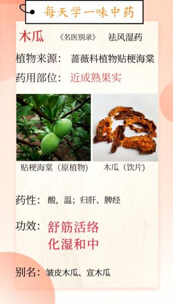 药用木瓜很硬怎么吃_怎么变软-第1张图片-山城妙识 药用木瓜很硬怎么吃_怎么变软-第1张图片-山城妙识