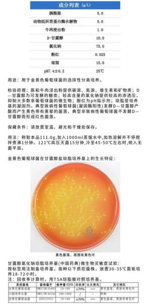 琼脂在培养基中的作用_为什么培养基要加琼脂-第2张图片-山城妙识 琼脂在培养基中的作用_为什么培养基要加琼脂-第2张图片-山城妙识