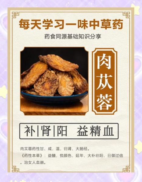 肉苁蓉泡水喝的正确方法_肉苁蓉泡水一天喝几次-第2张图片-山城妙识