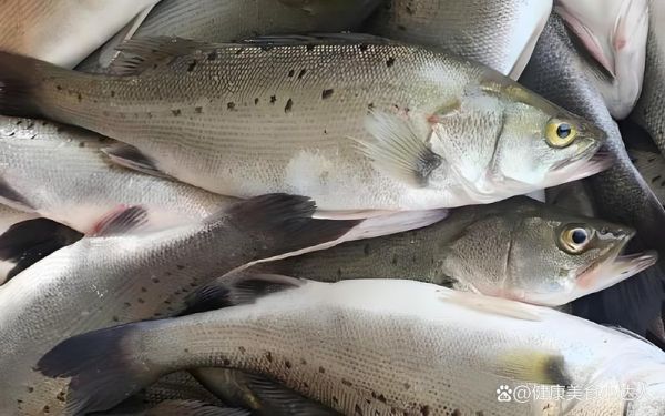 海鲈鱼的营养价值_海鲈鱼的功效与作用-第2张图片-山城妙识