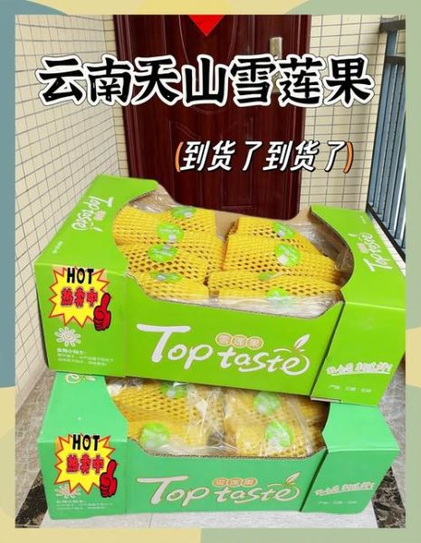 云南天山雪莲果怎么吃_雪莲果的吃法大全-第3张图片-山城妙识