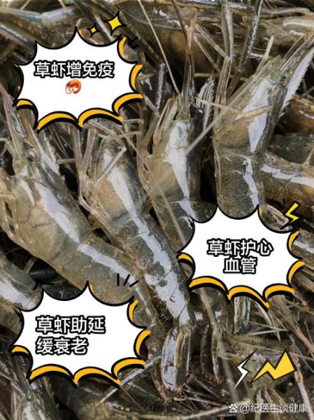 淡水草虾怎么养_淡水草虾吃什么-第1张图片-山城妙识