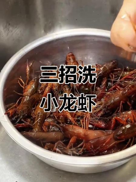 小龙虾怎么杀才干净_小龙虾清洗步骤视频-第3张图片-山城妙识