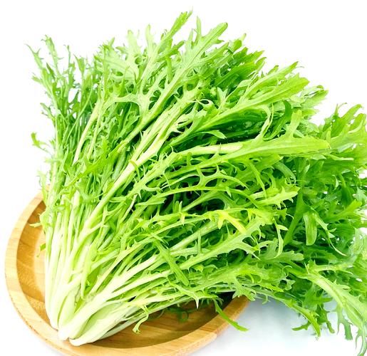 苦菊炒鸡蛋的营养价值_苦菊炒鸡蛋适合减肥吗-第2张图片-山城妙识