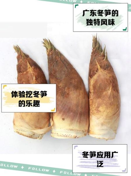 广东冬笋煲汤的做法_冬笋煲汤用什么材料-第3张图片-山城妙识