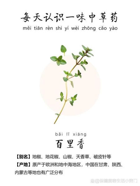 百里香的功效与作用_百里香的禁忌有哪些-第3张图片-山城妙识