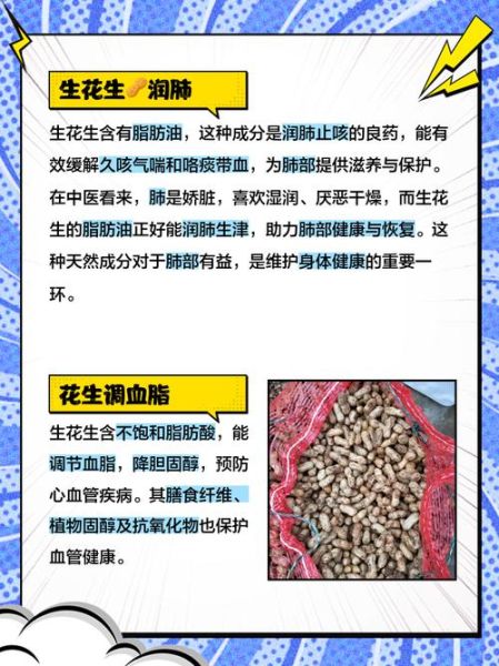 新鲜花生有什么功效_新鲜花生能生吃吗-第2张图片-山城妙识 新鲜花生有什么功效_新鲜花生能生吃吗-第2张图片-山城妙识