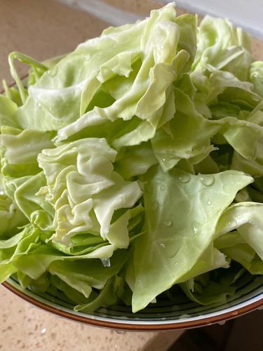 包菜怎么撕_包菜撕成什么形状最好-第3张图片-山城妙识 包菜怎么撕_包菜撕成什么形状最好-第3张图片-山城妙识