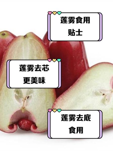 莲雾哪里不能吃_莲雾籽能不能吃-第1张图片-山城妙识