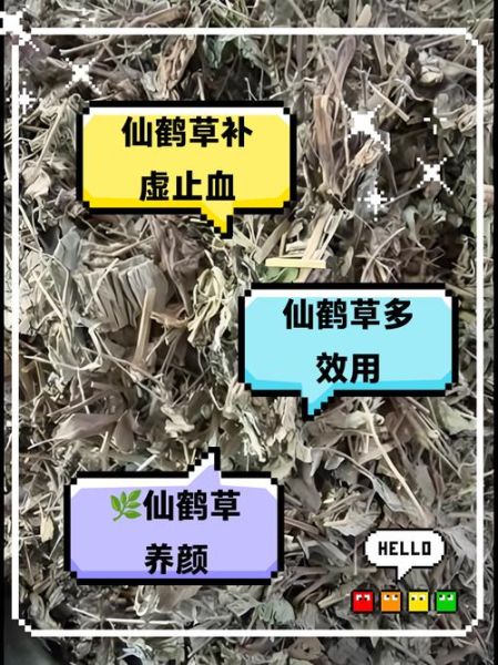 仙鹤草的功效与作用_仙鹤草能长期泡水喝吗-第3张图片-山城妙识