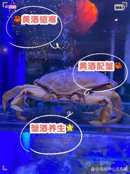 吃螃蟹能喝白酒吗_吃螃蟹喝白酒会中毒吗-第1张图片-山城妙识