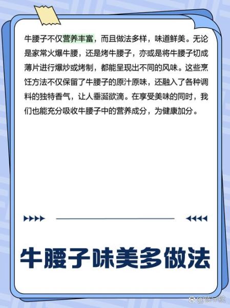 牛肾图片_牛肾解剖结构图怎么看-第2张图片-山城妙识