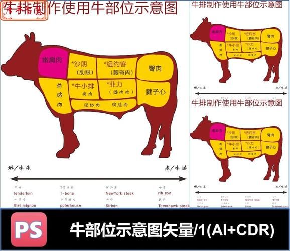 牛肉部位分割图怎么看_牛排选哪个部位最好-第3张图片-山城妙识