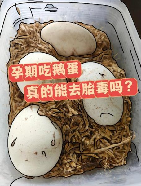 鹅蛋怎么吃去胎毒黄疸_孕妇吃鹅蛋的正确方法-第2张图片-山城妙识