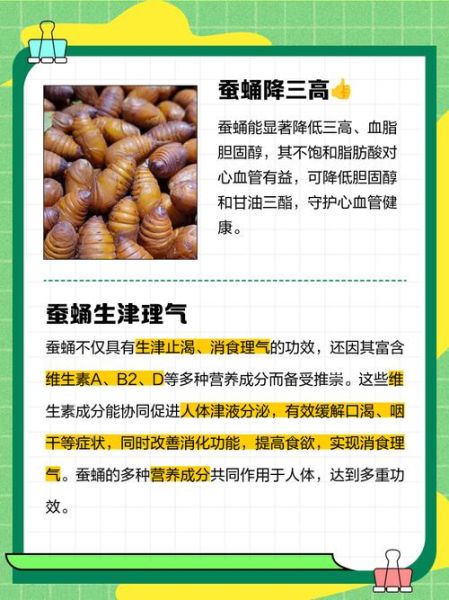 男人吃蚕蛹有什么好处_男人吃蚕蛹有什么坏处-第1张图片-山城妙识 男人吃蚕蛹有什么好处_男人吃蚕蛹有什么坏处-第1张图片-山城妙识