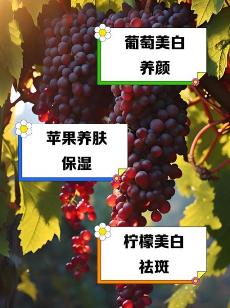 白葡萄的功效与作用_白葡萄怎么吃最营养-第3张图片-山城妙识