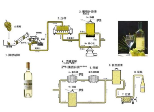 葡萄酒酿造设备有哪些_小型酒庄如何选型-第2张图片-山城妙识