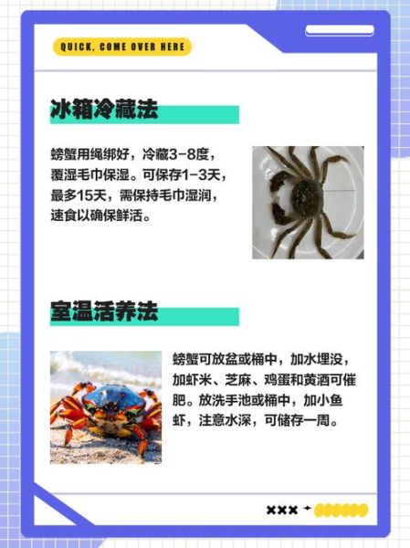 大闸蟹怎么保存才不死_活蟹能放冰箱吗-第3张图片-山城妙识 大闸蟹怎么保存才不死_活蟹能放冰箱吗-第3张图片-山城妙识
