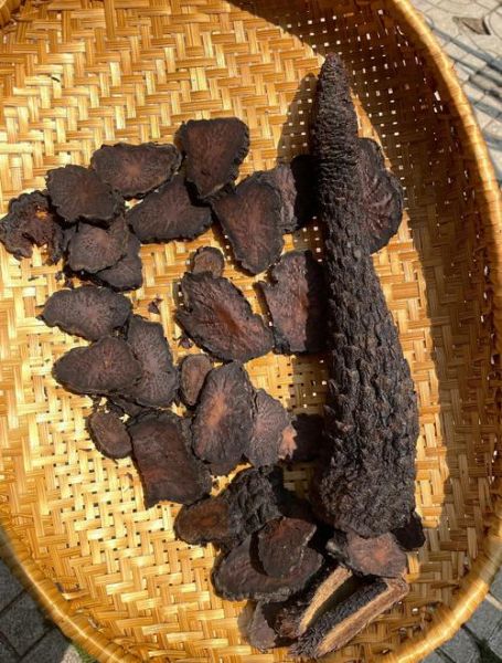 肉苁蓉怎么吃效果最好_肉苁蓉最佳吃法-第2张图片-山城妙识 肉苁蓉怎么吃效果最好_肉苁蓉最佳吃法-第2张图片-山城妙识