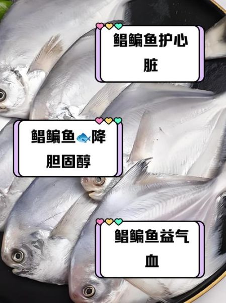 鳊鱼图片和鲳鱼的区别_如何一眼分辨-第2张图片-山城妙识 鳊鱼图片和鲳鱼的区别_如何一眼分辨-第2张图片-山城妙识