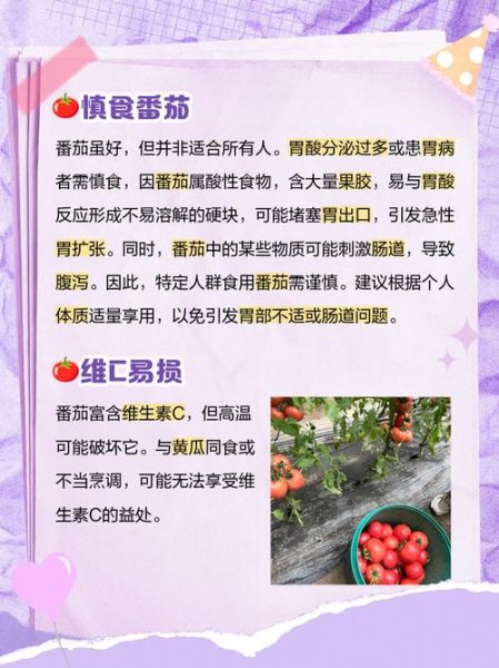 西红柿一天吃几个最好_吃多了会怎样-第1张图片-山城妙识